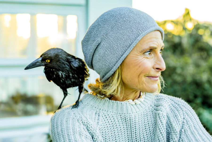News – Penguin the Magpie